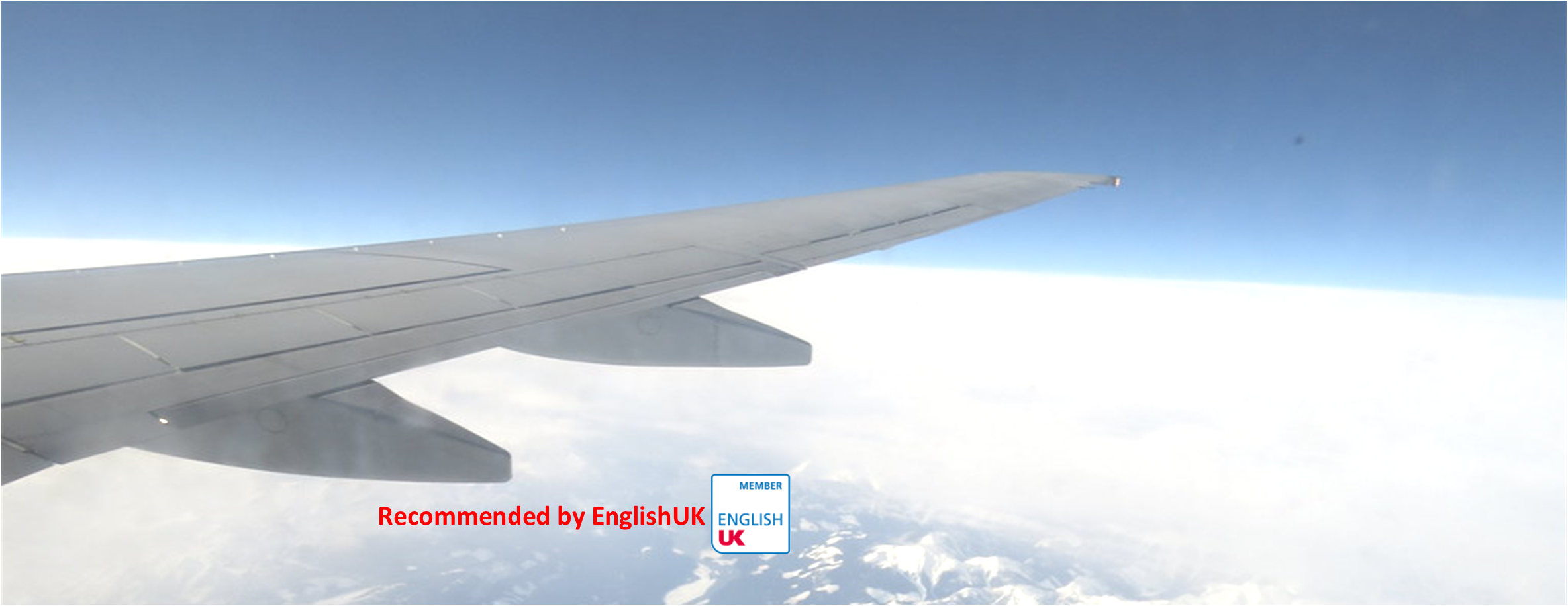 Insurance - Concorde International